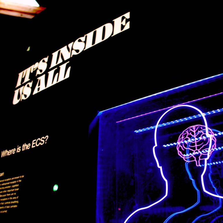 Radius Research - Webinar and Deep Dive with CEO Ram Mukunda & CFO ...