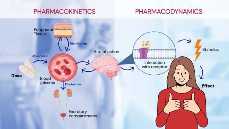 Key Insights into Pharmacokinetics: How Drugs “Know Where to Act and ...